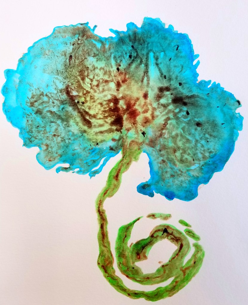 Placenta Encapsulation – Hampton Roads Doula, Birth Photography and ...